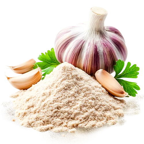 Ceylon Garlic & Garlic Powder - NextPort International